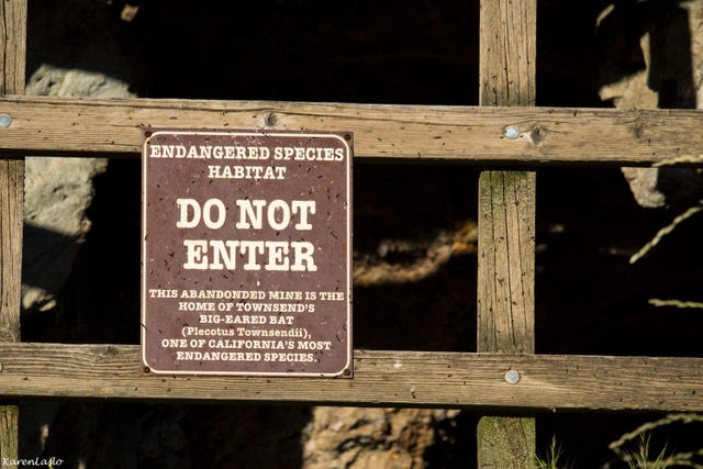 townsendsign - ChicoSol News