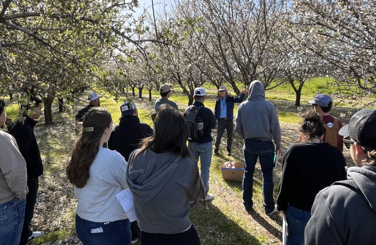 University Farm director brings global perspective - ChicoSol News