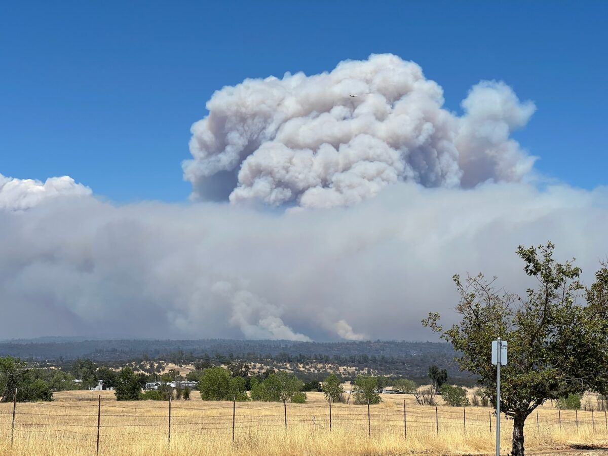 Park Fire rages; thousands evacuate - ChicoSol News
