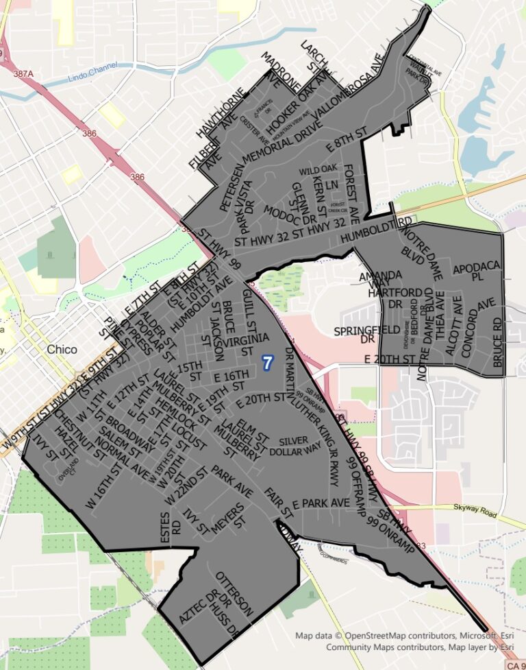 Bryce Goldstein Archives - ChicoSol News