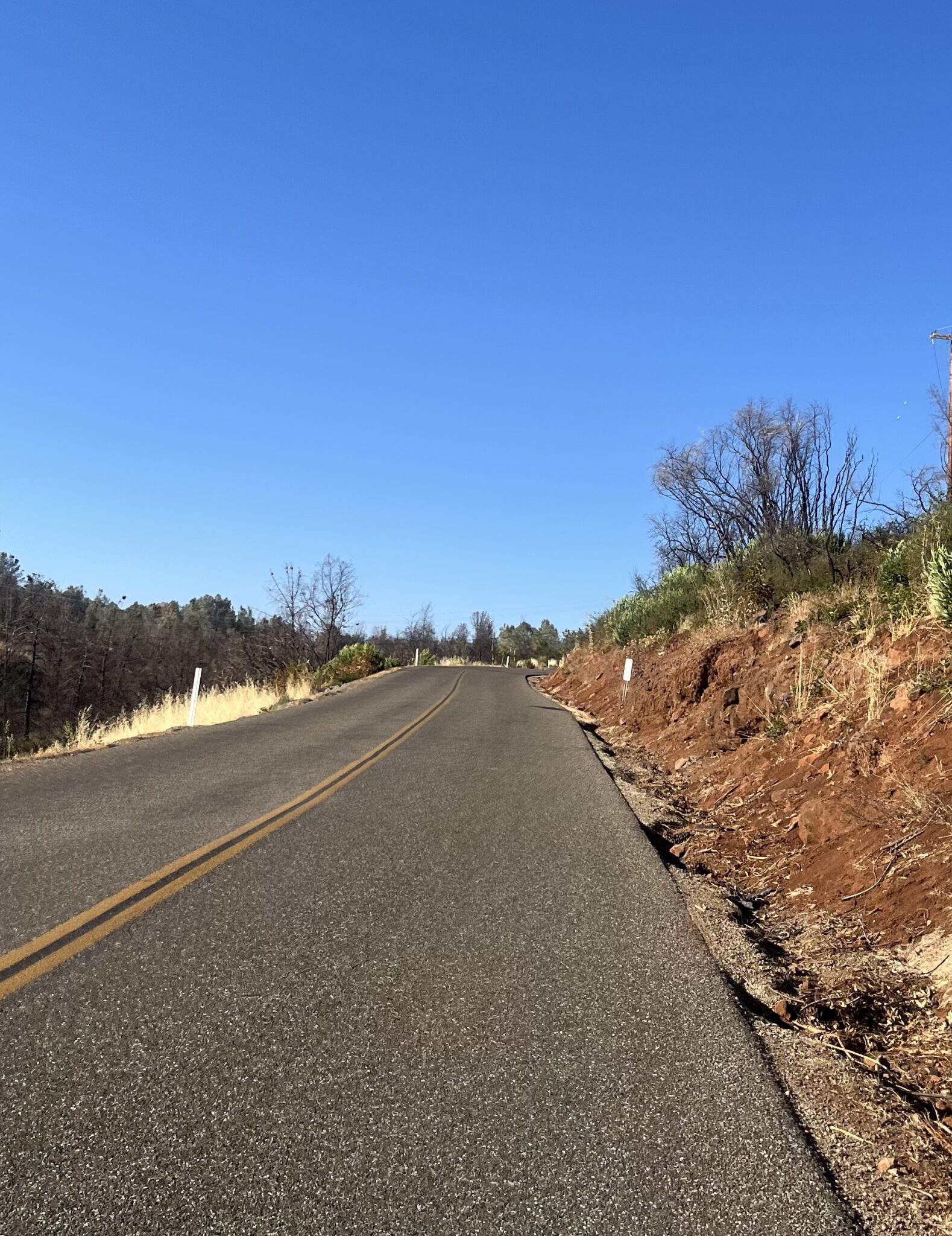 Seven years after fatal bike crash, a Chico doctor is still missed - ChicoSol News