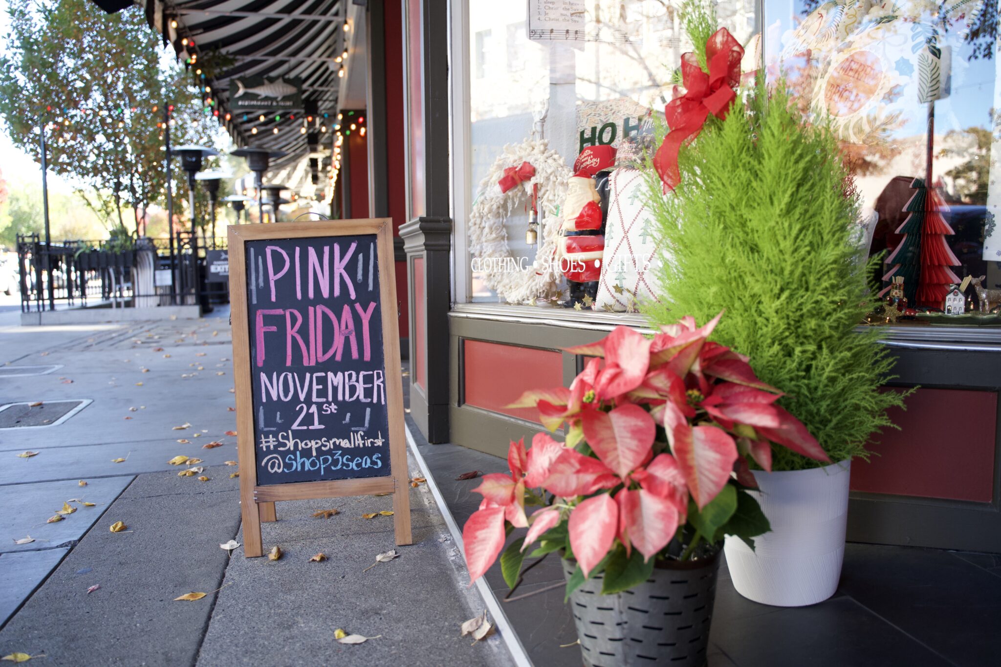 Shop owners bring Pink Friday to downtown - ChicoSol News