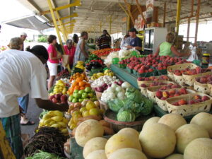 SNAP cuts threaten food availability for poor - ChicoSol News